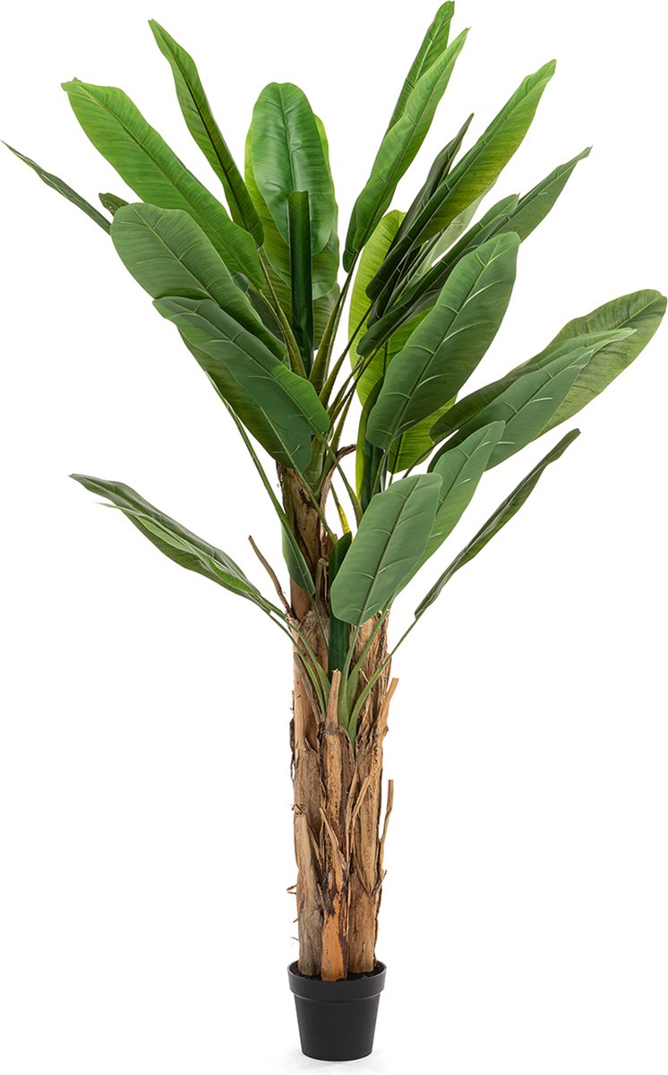 Foretti bananenboom - Kunstplant - 200 cm - Voor binnen- en ...