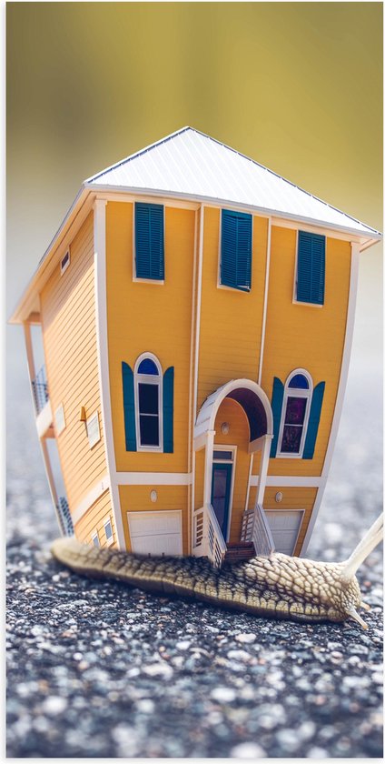 WallClassics - Poster (Mat) - Slakje met Villa op Rug - 50x100 cm Foto ...