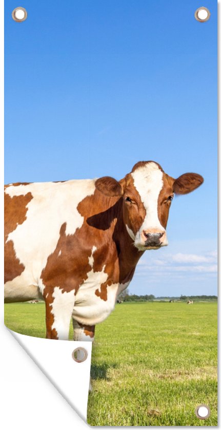 Poster de jardin Vaches - Ferme - Herbe - Nature - Animaux - 40x80 cm ...