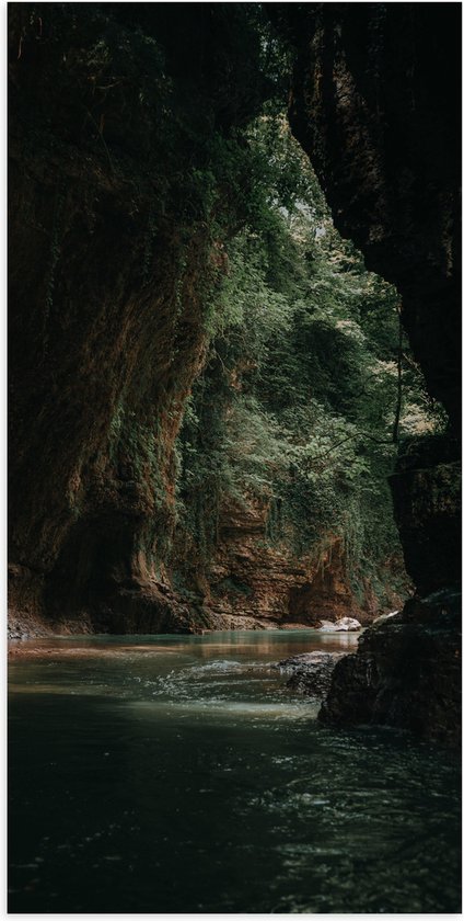 WallClassics - Poster Glossy - Grotte Haute avec Végétation - 50x100 cm ...