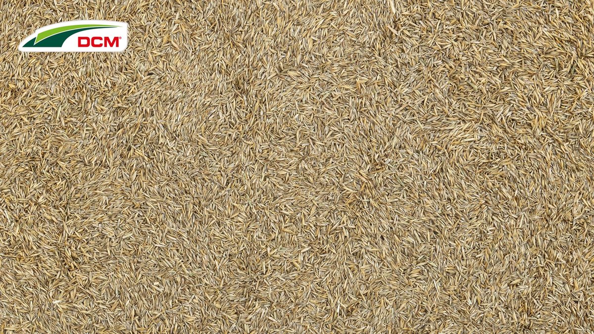 DCM graszaad weide - met smakelijke, harde grassoorten - 1,5kg tot ...