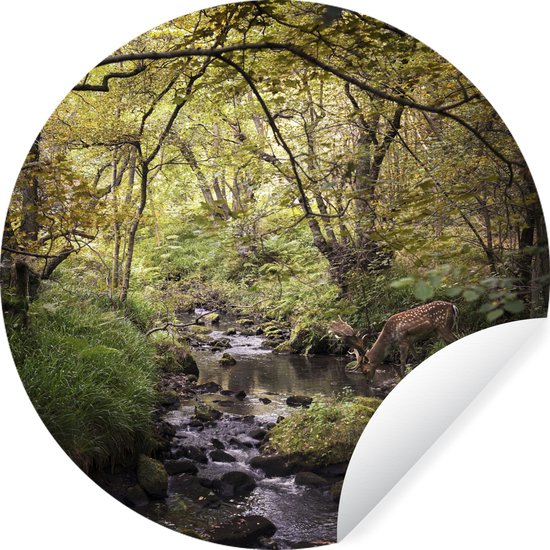 WallCircle - Muurstickers - Behangcirkel - Hert - Boom - Bos - 30x30 cm - Muurcirkel -... | bol.com