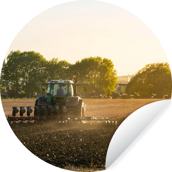 WallCircle - Muurstickers - Behangcirkel - Trekker - Vogel - Land - 100x100 cm -... | bol.com