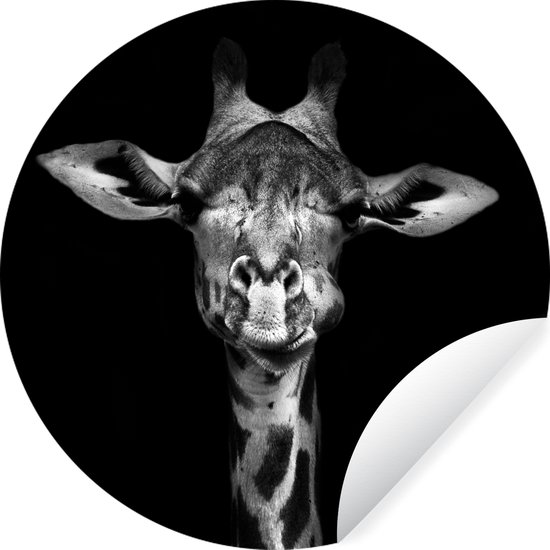 Behangcirkel - Wilde dieren - Giraffe - Zwart - Wit - 100x100 cm - Zelfklevend behang... | bol.com