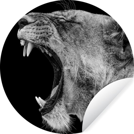 WallCircle - Behangcirkel - Dieren - Leeuw - Jungle - Zwart - Wit - Zelfklevend behang... | bol.com