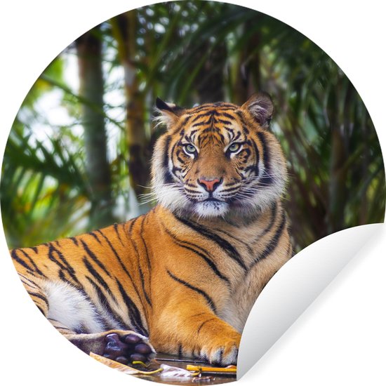 WallCircle - Behangcirkel zelfklevend - Behangsticker - Zelfklevend behang - Tijger -... | bol.com