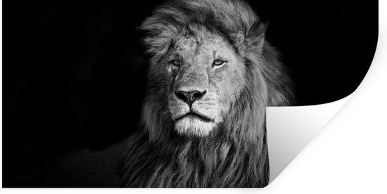 Muurstickers - Sticker Folie - Wilde dieren - Leeuw - zwart - Wit - 40x20 cm -... | bol