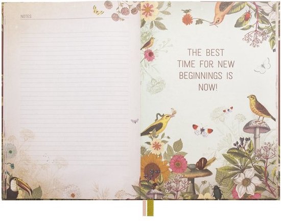 Pimpelmees diary A4 2023 - sky FSC | bol.com