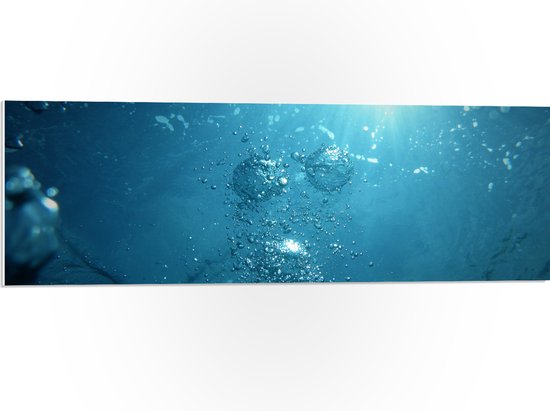 WallClassics - PVC Schuimplaat - Luchtbellen onder Water - 90x30 cm ...