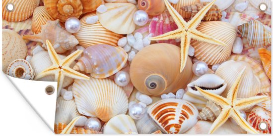 Schuttingposter Schelpen - Parels - Zeesterren - Strand - 200x100 cm ...