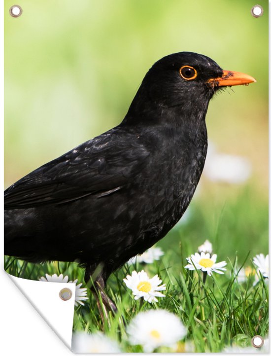 Décoration de Jardin Vogel - Merle - Fleurs - 30x40 cm - Toile de ...