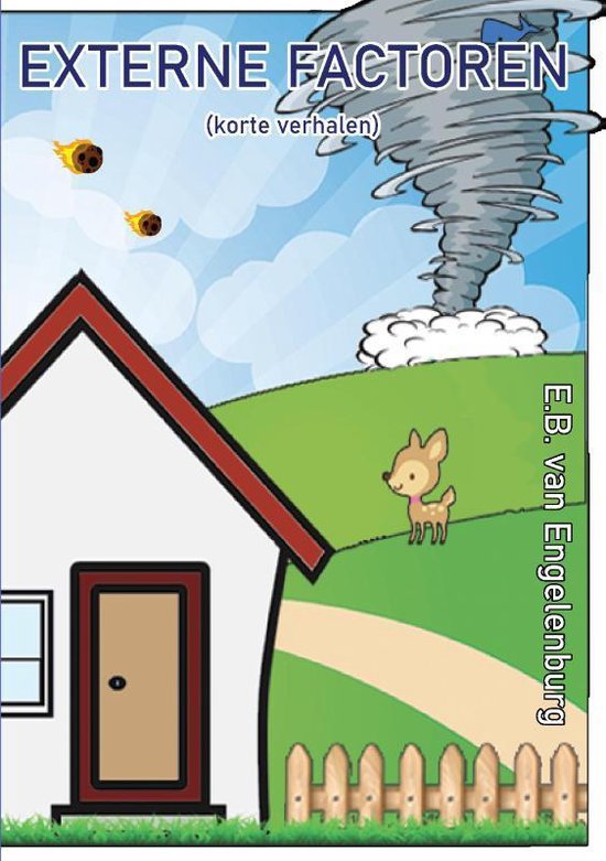 Externe Factoren, E.B. van Engelenburg | 9789464062465 | Boeken | bol.com