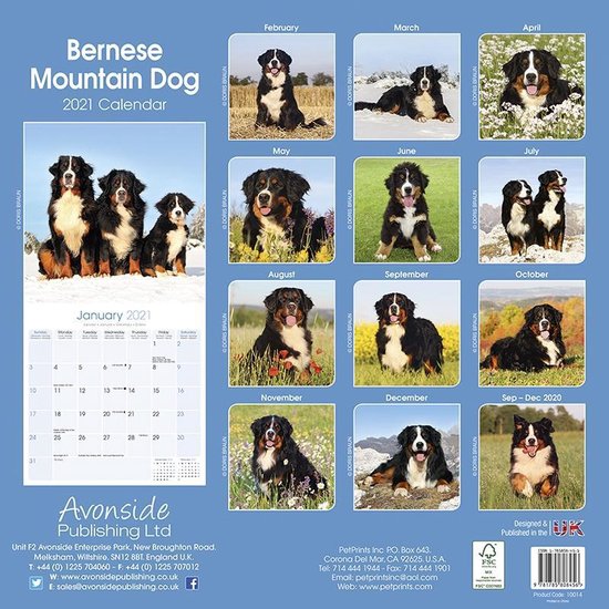 Berner Sennen Kalender 2021 | bol