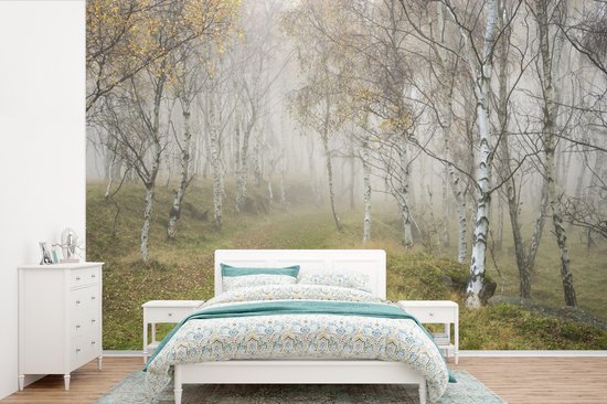 Behang - Fotobehang Uitzicht op meerdere ruwe berken - Breedte 450 cm x ...