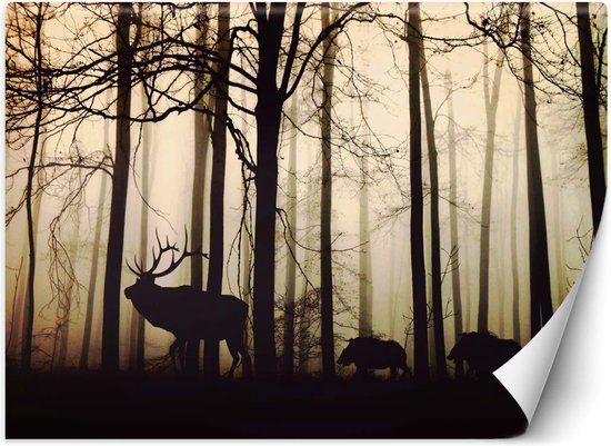 Trend24 - Behang - Dieren In Het Bos - Vliesbehang - Fotobehang Dieren ...
