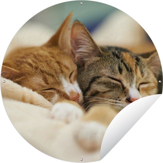 Tuincirkel Katten - Slapen - Kleed - 90x90 cm - Ronde Tuinposter ...
