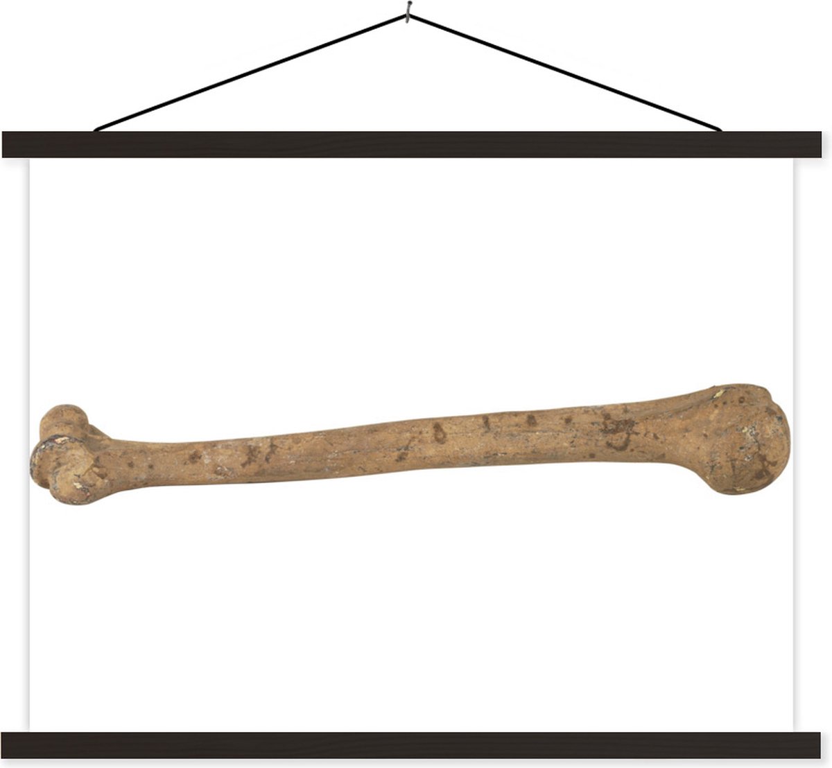 Posterhanger incl. Poster - Schoolplaat - Een oud menselijk dijbeen bot ...
