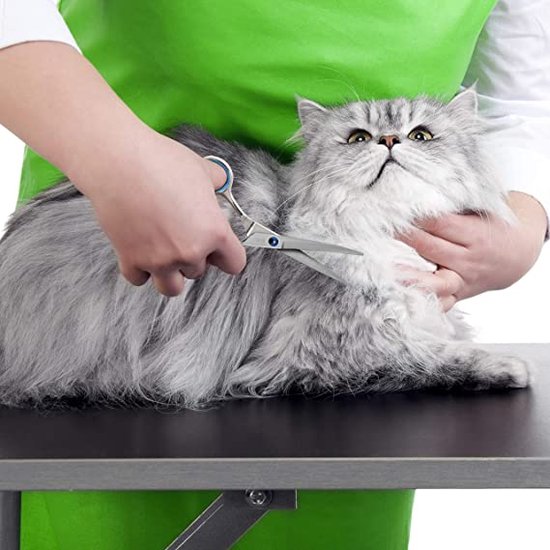 Hondenschaar / scissors for dogs and cats, dog grooming scissors, pet ...