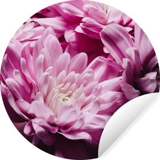 WallCircle - Muurstickers - Behangcirkel - Bloemen - Roze - Natuur - 50x50 cm -... | bol.com