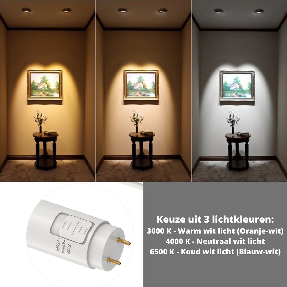 LongLife LED TL Armatuur compleet met LED TL buis 120 cm - 3 ...