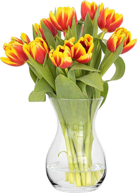 Decoratieve vaas – vaas voor bloemen | bol.com