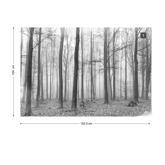 Fotobehangkoning - Fotobehang - Vliesbehang - Behang - Bomen - Bos ...