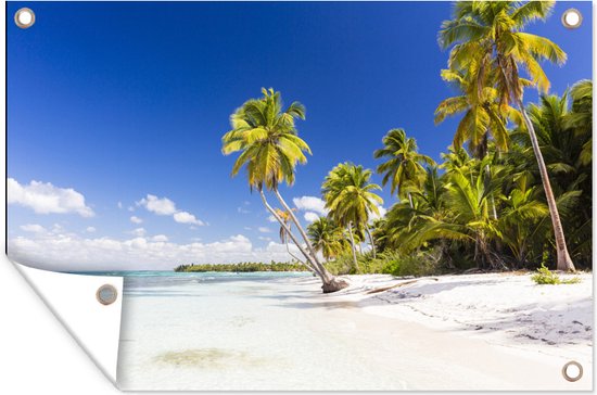 Tuinposters buiten Kokospalmen en wit strand in het Nationaal park del ...