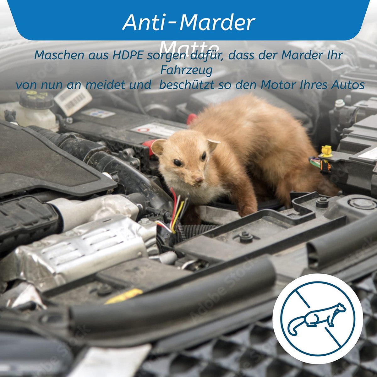 Viirkuja® Anti Marten Mat - Marterwerend auto rooster - 160x200cm ...