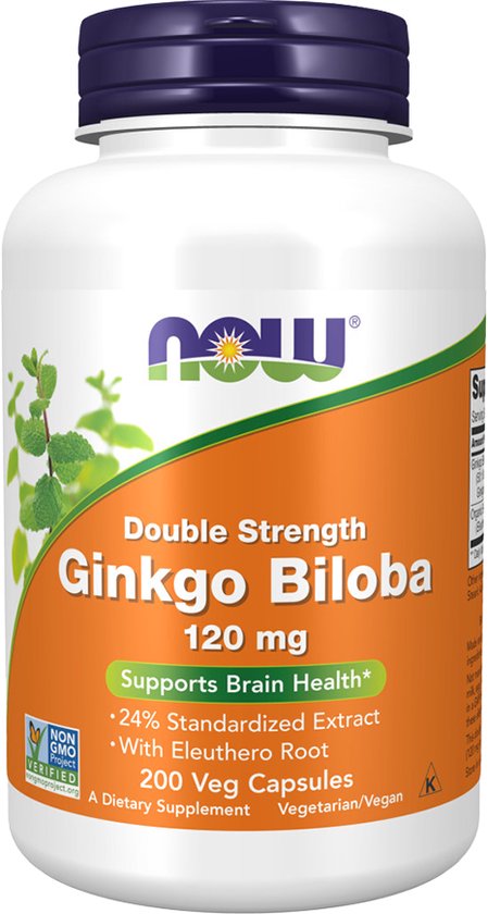 Ginkgo Biloba 120 mg | bol.com