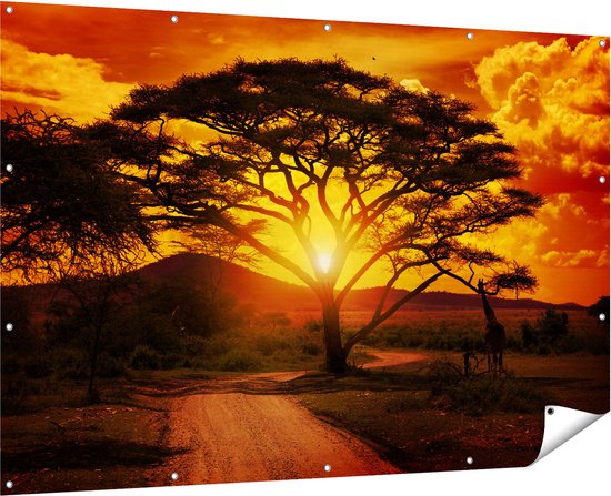 Gards Tuinposter Zonsondergang Achter een Savanne Boom - 180x120 cm ...