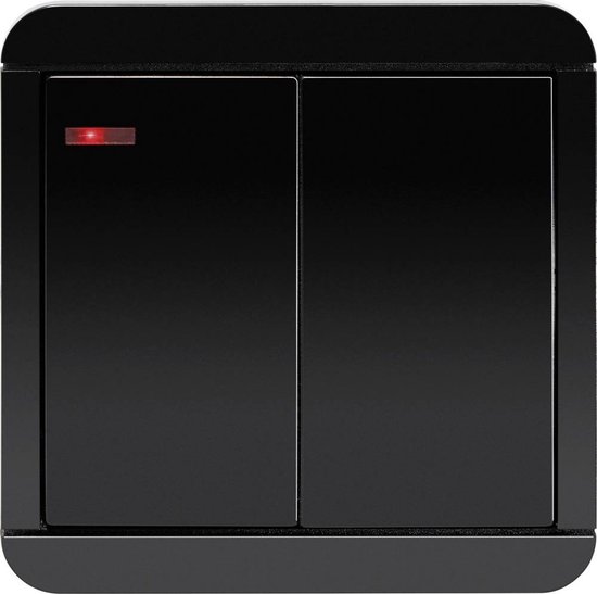 RS2W Wandschakelaar Draadloos Opbouw (op muur) 2-kanaals Bereik max ...