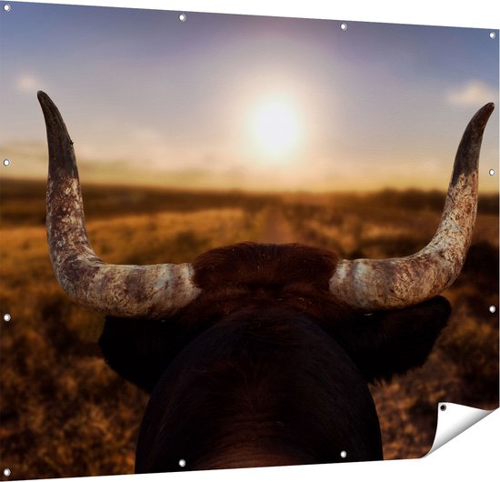 Gards Tuinposter Stierenhoorns bij Zonsondergang - 150x120 cm ...