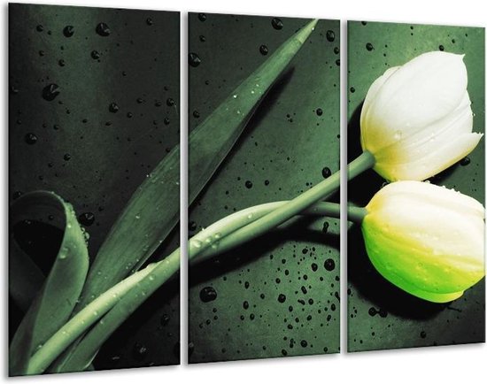 GroepArt - Schilderij - Tulp - Groen, Geel, Zwart - 120x80cm 3Luik ...