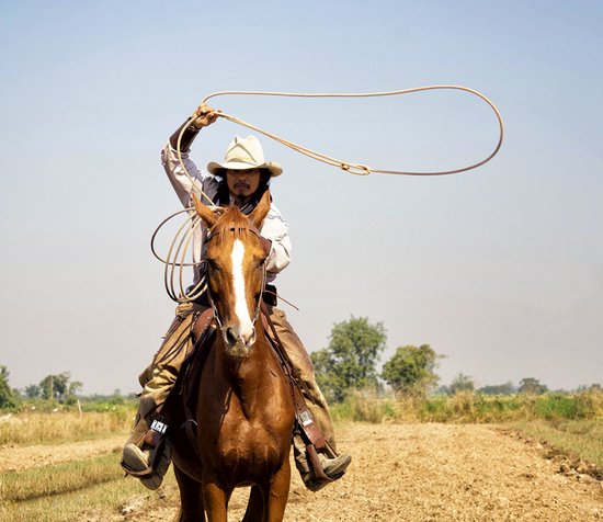 Inductie Beschermer - Rijdende Cowboy met Lasso - 60x52 cm - 2 mm Dik ...