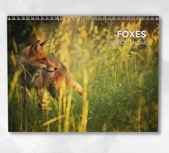 Wandkalender 2026 Maandkalender A4 Hangen met Ruimte voor Notities en ...
