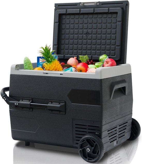 Draagbare Mini Koelbox & Vriezer 65L voor Auto, 12V/24V/230V - Geschikt ...