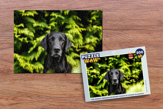 Puzzel Een zwarte Labrador Retriever tussen de groene bladeren ...