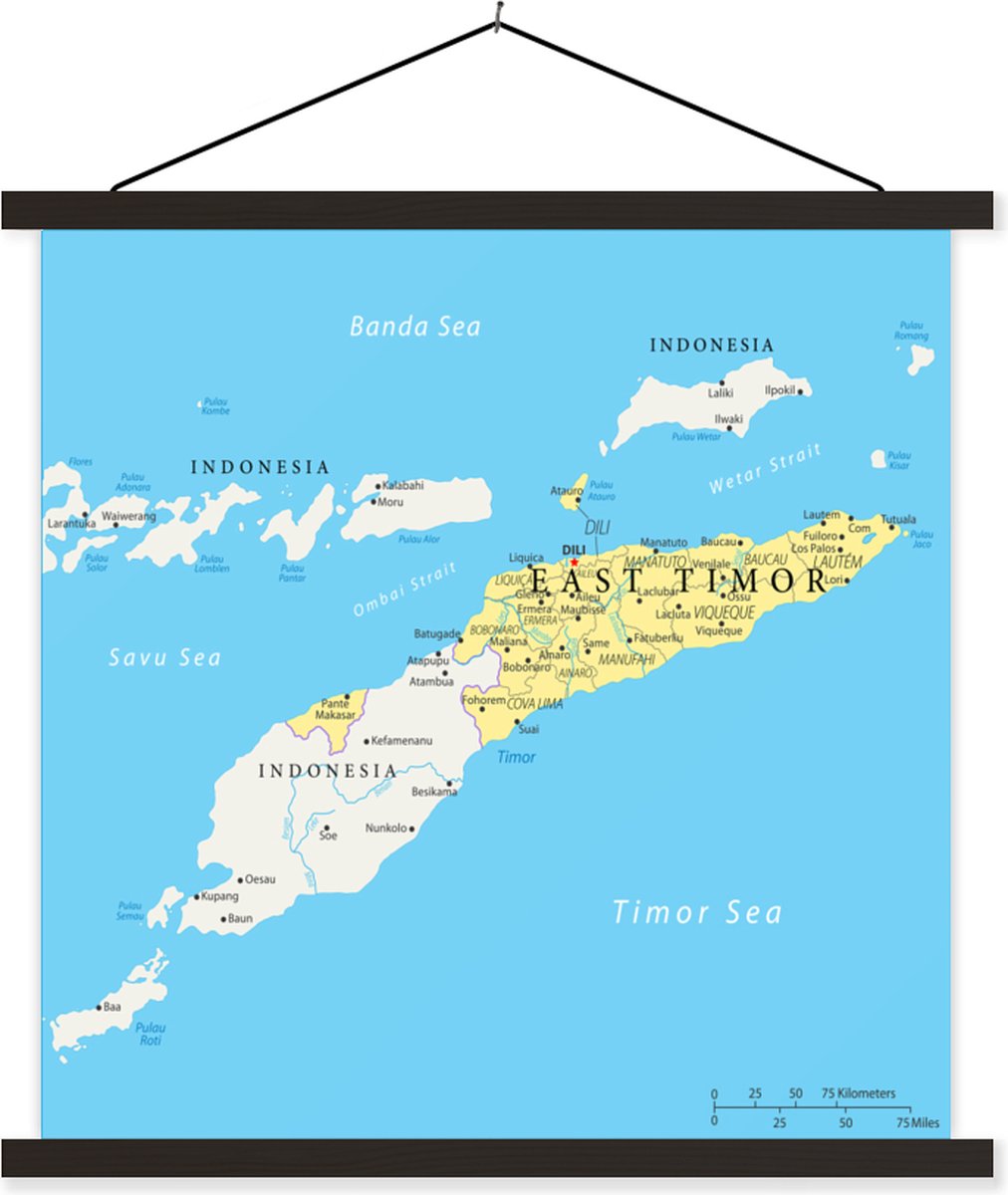 illustration de la carte du Timor oriental plaque scolaire lattes ...