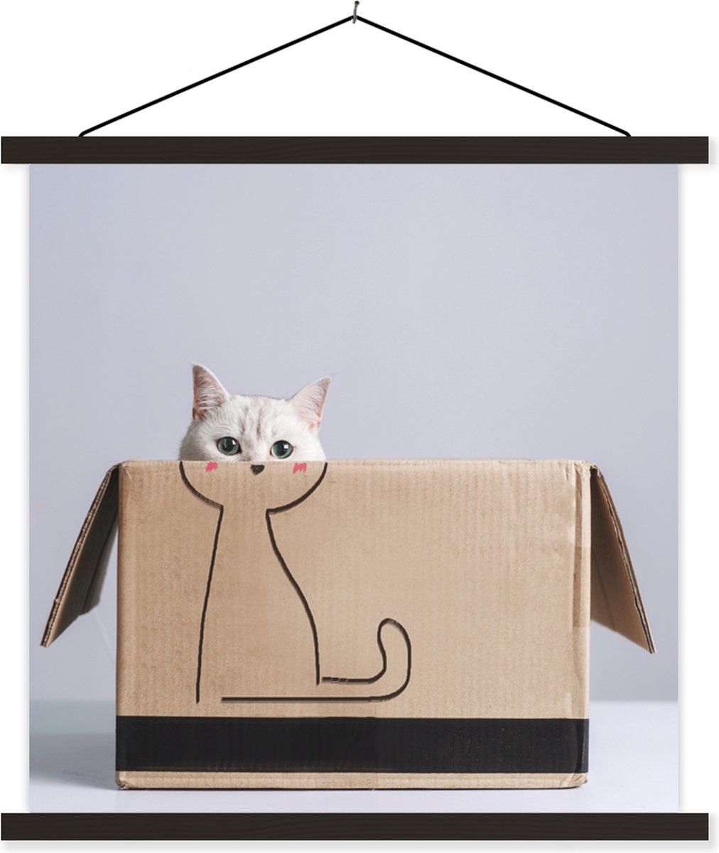 Posterhanger incl. Poster - Schoolplaat - Kat in kartonnen doos met ...