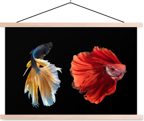 Lattes d'affiche textielposter de poissons de combat siamois aux ...