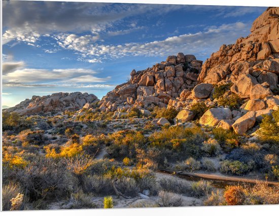 PVC Schuimplaat - Rotsen onder de Blauwe lucht bij Barker Dam - 100x75 ...