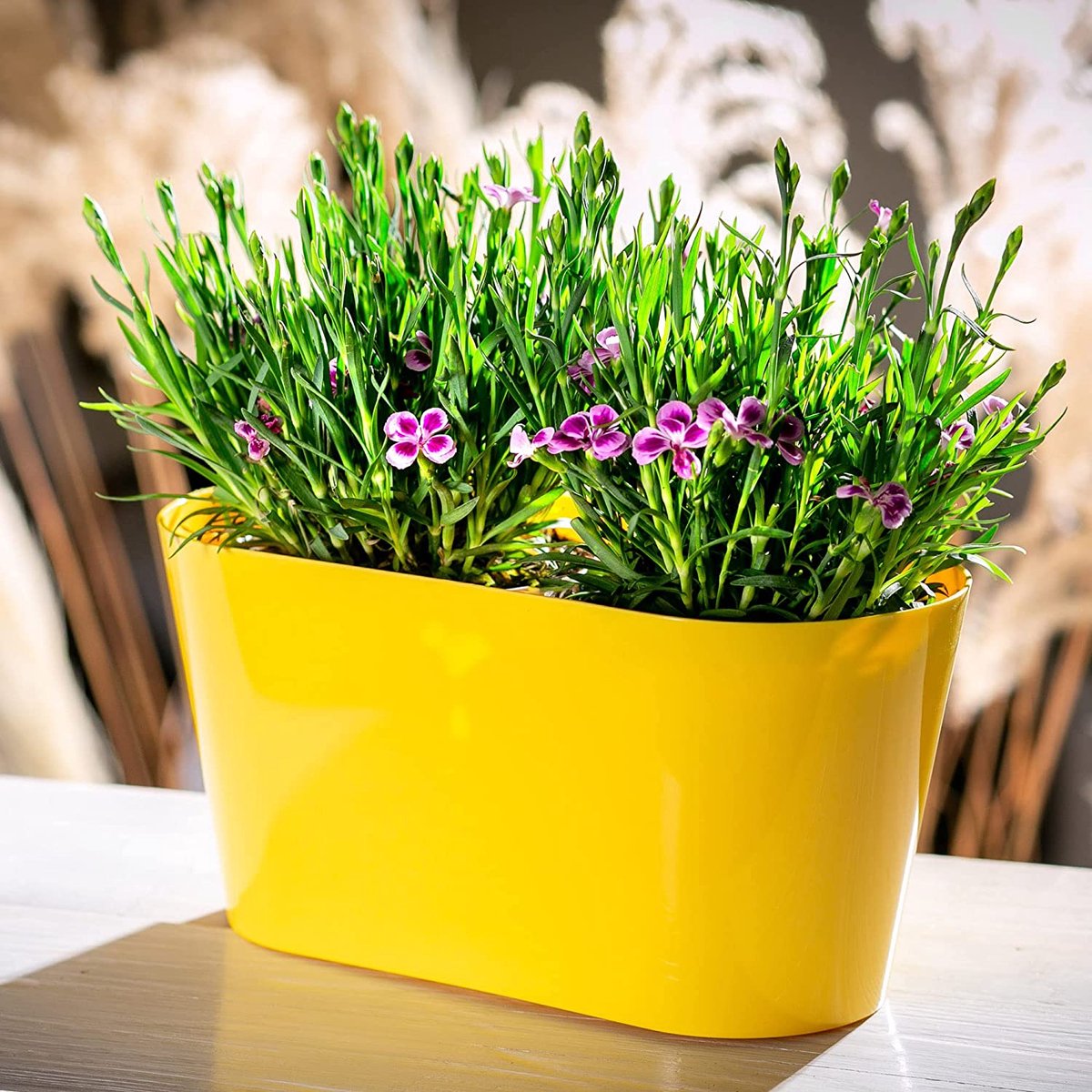 KADAX Pot de Fleur en Plastique 27 x 13 cm Large Pot Ovale Pot de Fleur ...