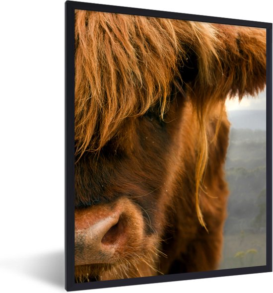 Fotolijst incl. Poster - Schotse Hooglander - Oranje - Neus - 60x80 cm ...