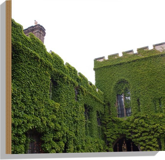 Hout - Oud Kasteel Begroeid door Planten - 50x50 cm - 9 mm dik - Foto ...