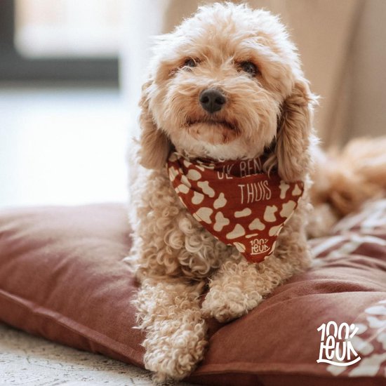 100%LEUK - Bandana hond - Hondenaccessoires - maat S | bol