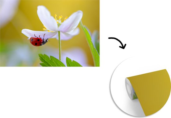 Behang - Fotobehang Bloem - Insect - Lente - Breedte 360 cm x hoogte ...