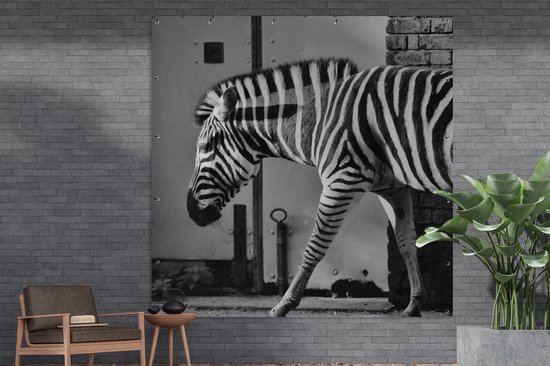 Tuin poster Zebra - Muur - Deur - Dieren - Zwart wit - 200x200 cm ...