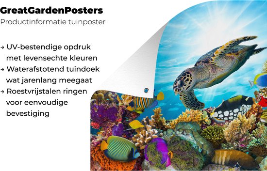 Tuinposters Schildpad - Zee - Koraal - 50x50 cm | bol.com