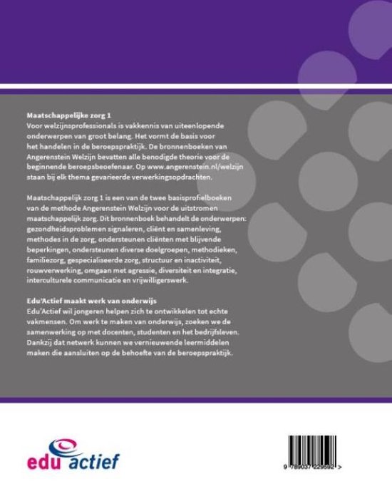 Angerenstein Welzijn - Maatschappelijk zorg, J. Bolt | 9789037229592 ...