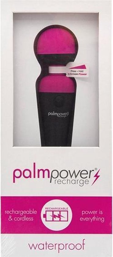 PalmPower - Recharge Wand Massager | bol.com
